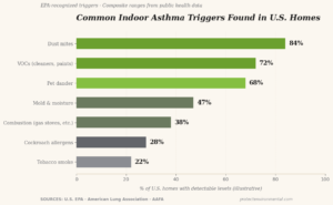Indoor Asthma Triggers in Your Home | World Asthma Day 2026